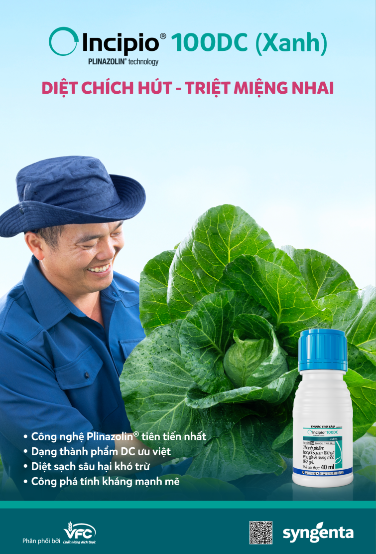 Incipio® 100DC | Syngenta